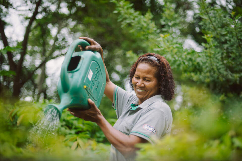 Ecosia - the search engine that plants trees