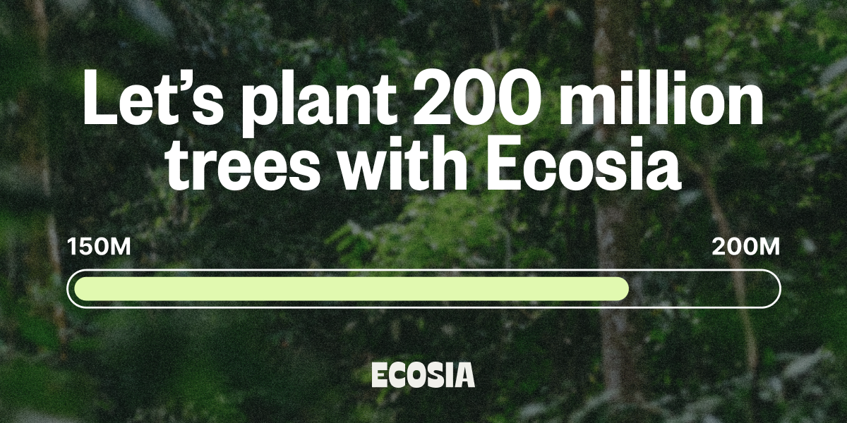 Ecosia: the search engine that uses 100% of its profits for the planet